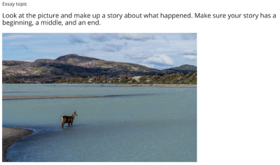 What Is on the Elementary Level SSAT? - Test Innovators